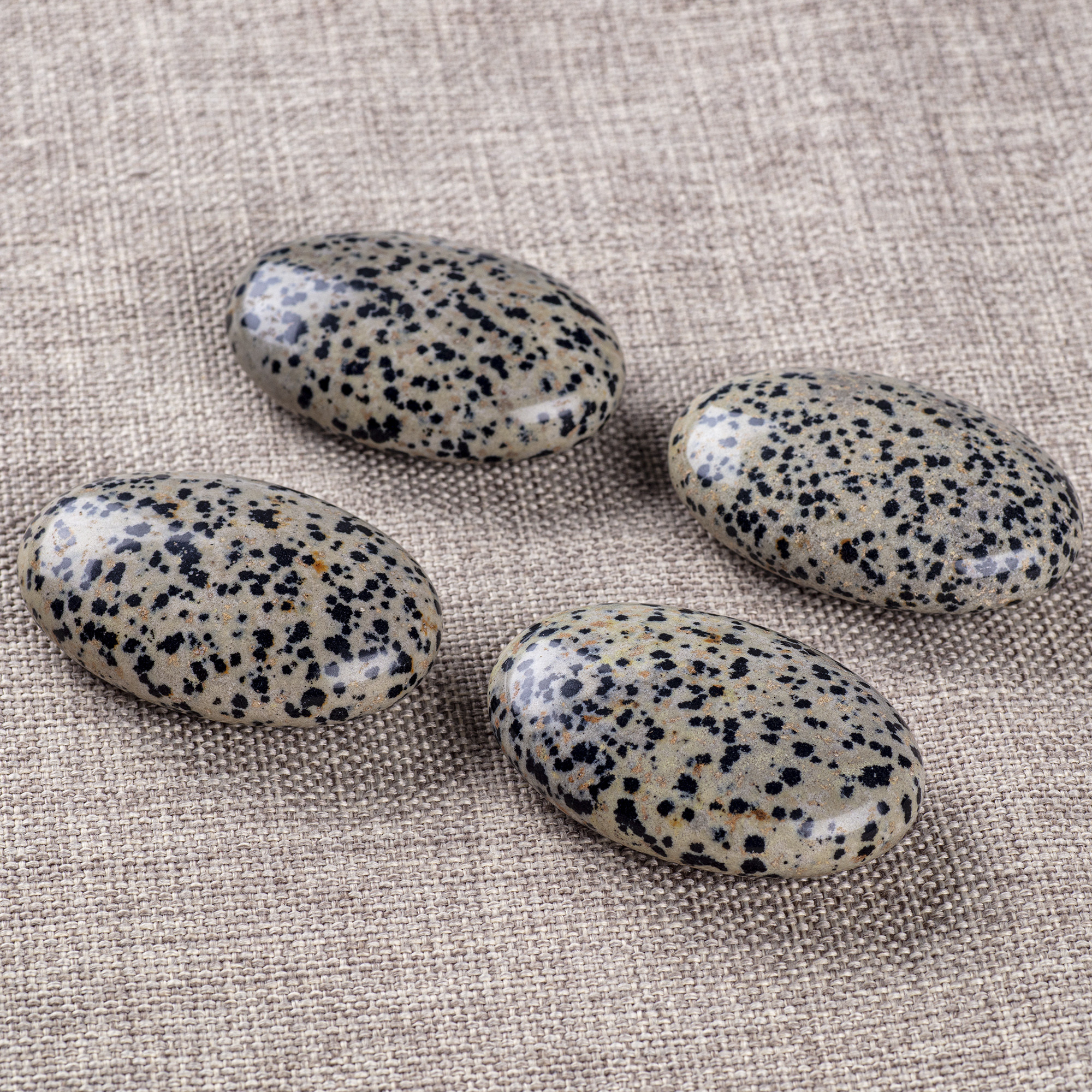Natural Polished Dalmatian Jasper Palm Stone Oval Shaped Dalmatian ...